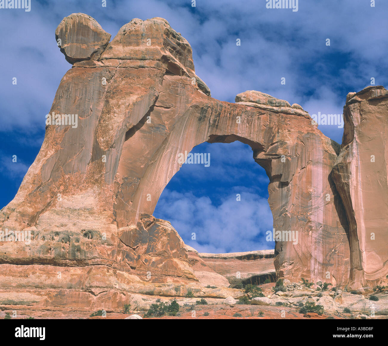 Angel arch canyonlands national park hi-res stock photography and ...