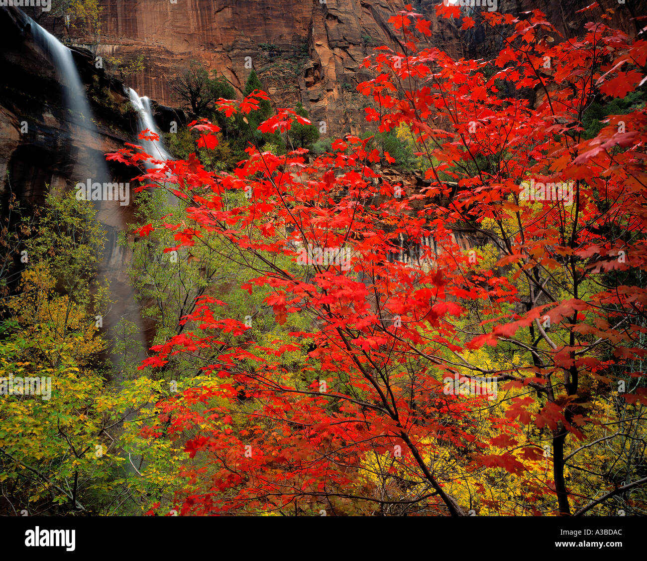 Emerald pools waterfalls zion national park hi-res stock photography ...