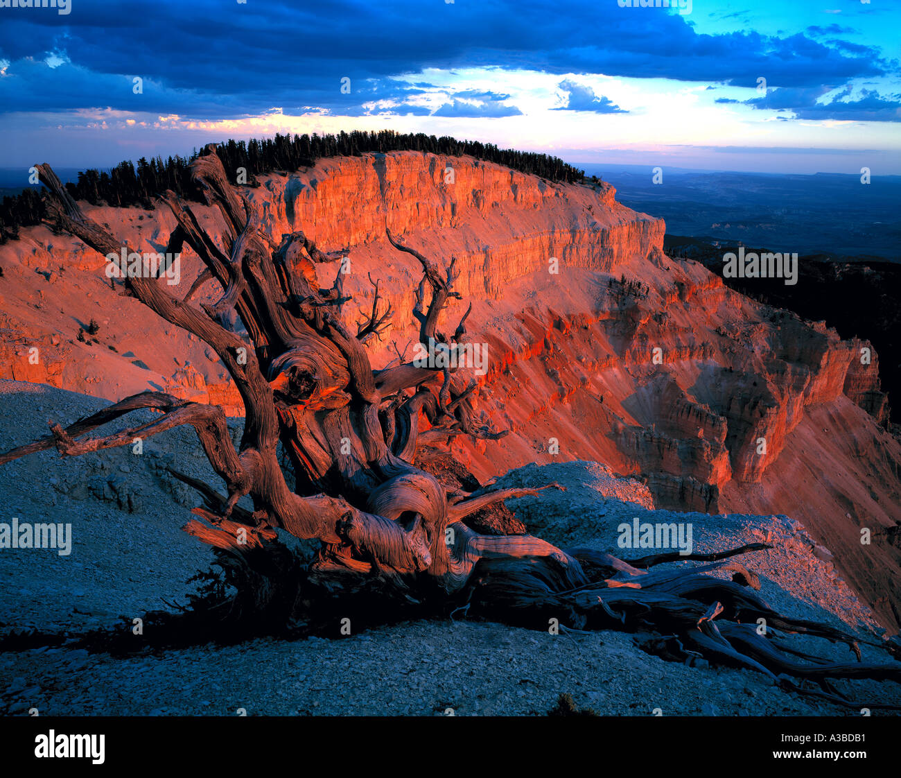 Table cliff plateau hi-res stock photography and images - Alamy