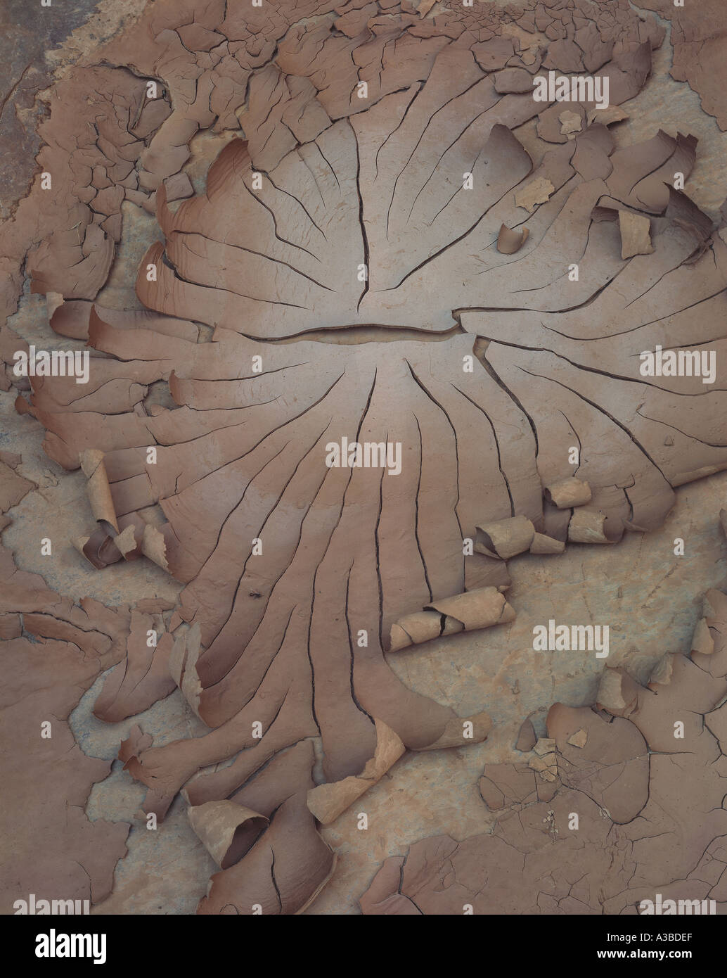 Mud Patterns Grand Canyon National Park Arizona North Canyon in Marble ...