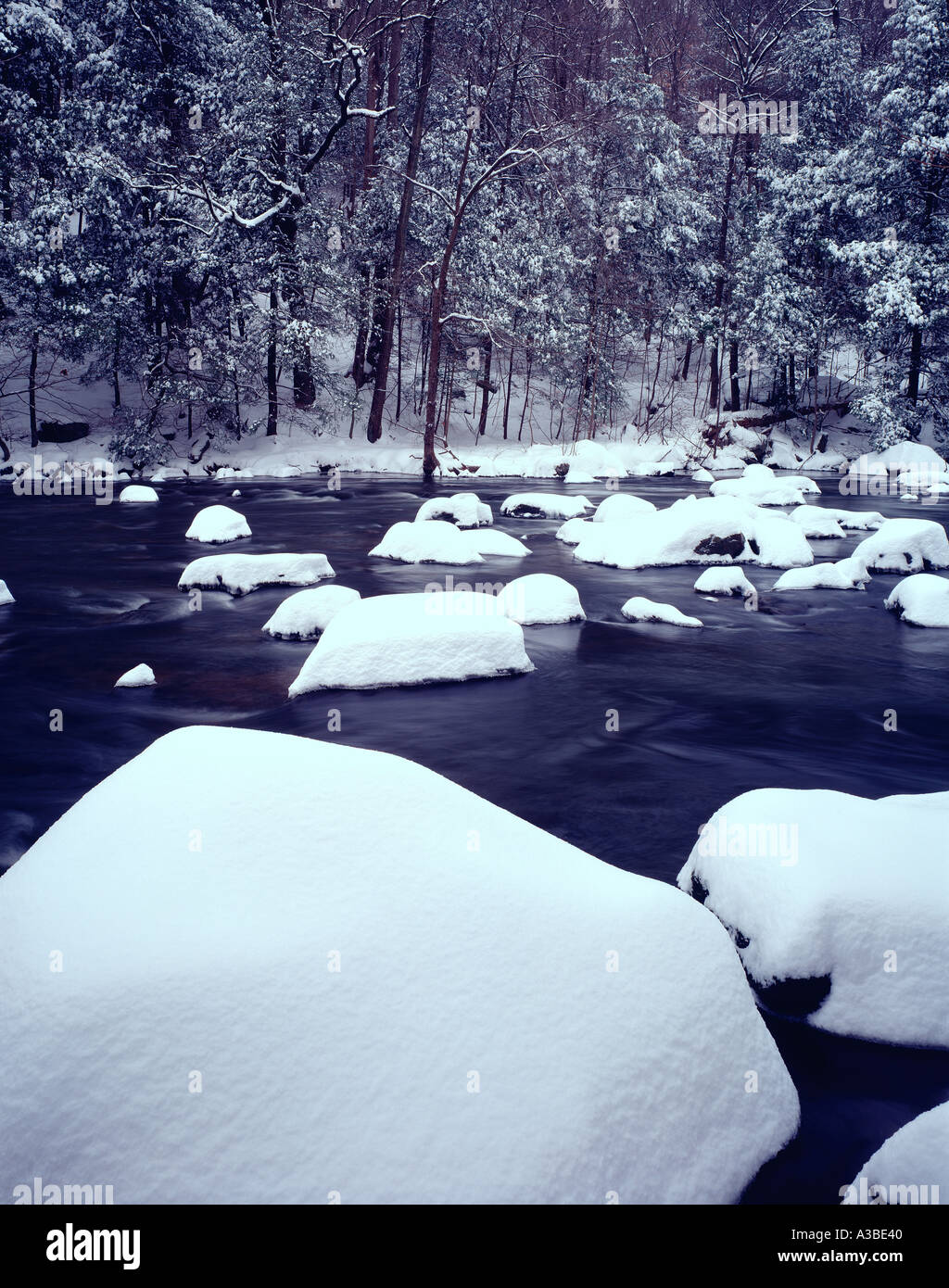 Snow covered Stream Rocks Ken Lockwood Gorge Reserve New Jersey Stock ...