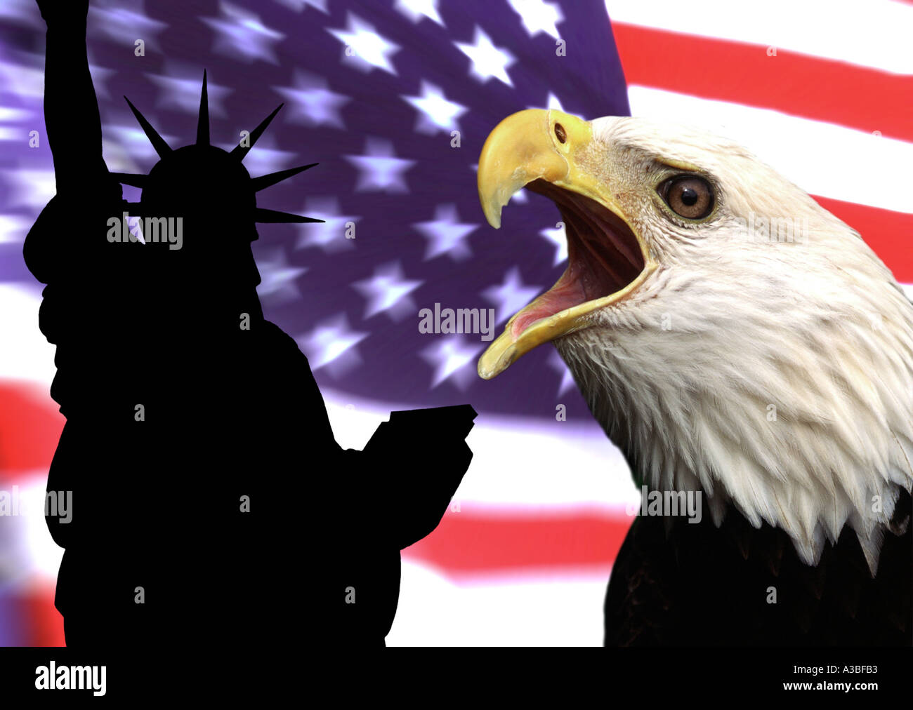 Explain How The American Flag The Bald Eagle And The Statue Of Liberty ...