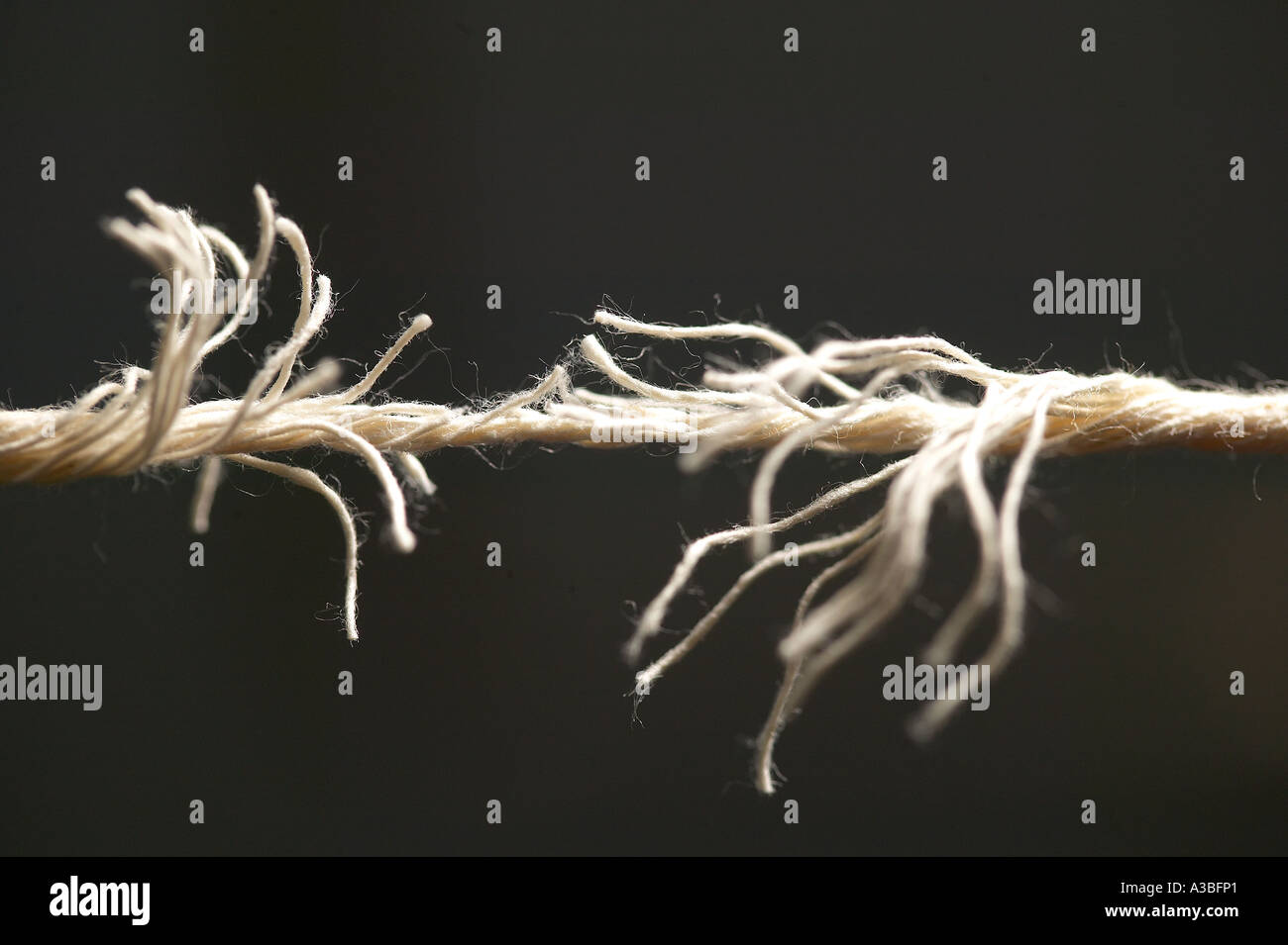 object,still life,rope,simbol,Group of Objects,Sti Stock Photo - Alamy