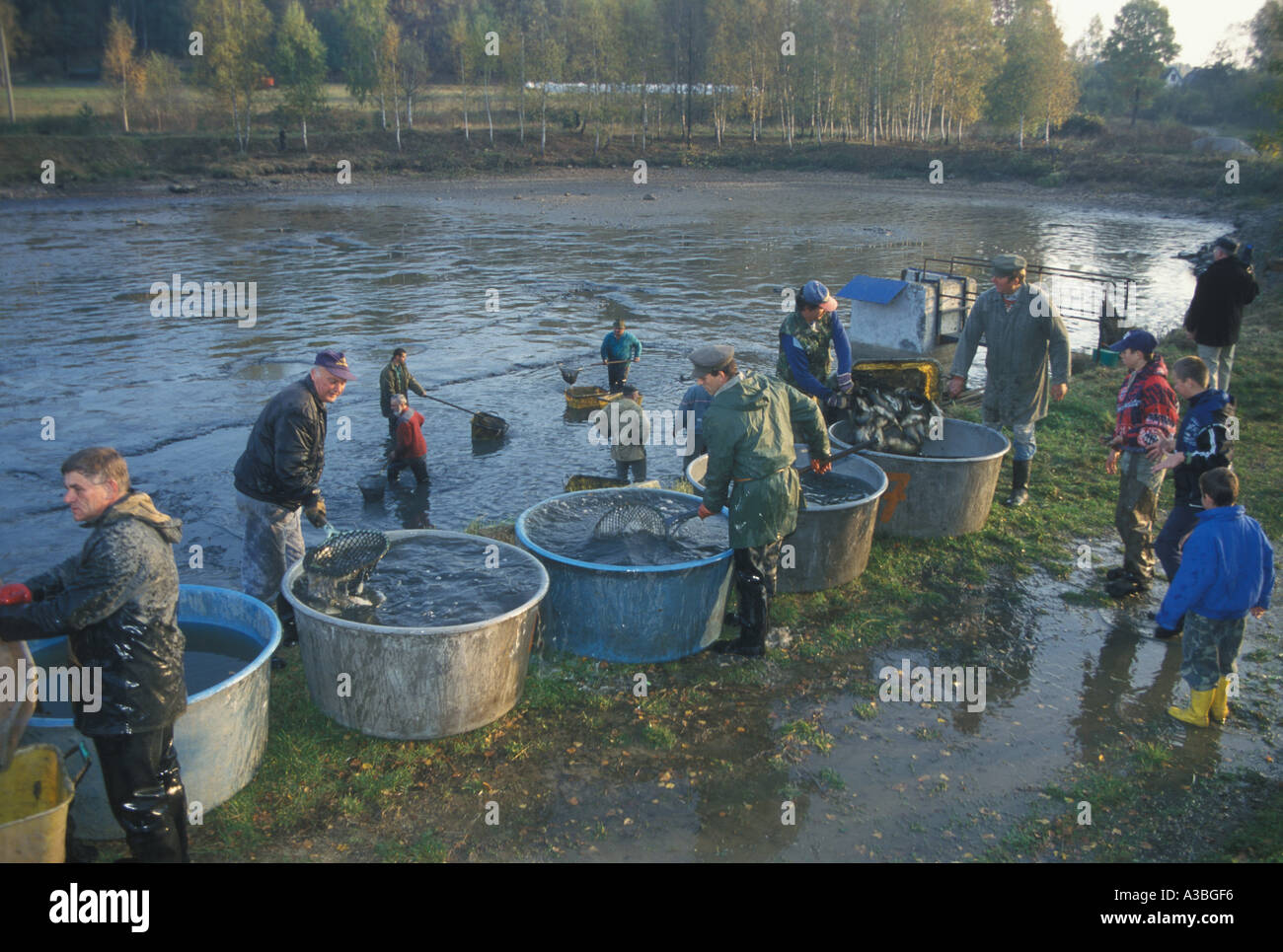 Fish lore hi-res stock photography and images - Alamy