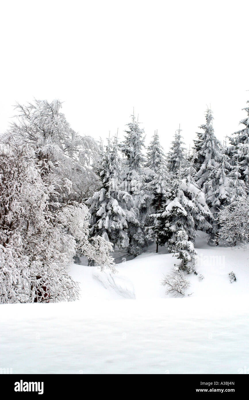 winter, snow and trees landscape Stock Photo - Alamy