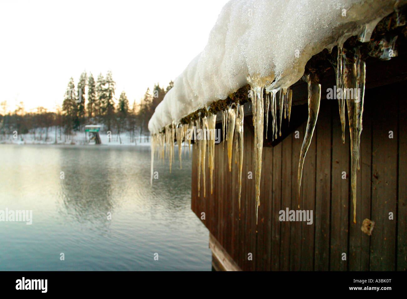 Slovenia Lake Bled in winter Stock Photo - Alamy