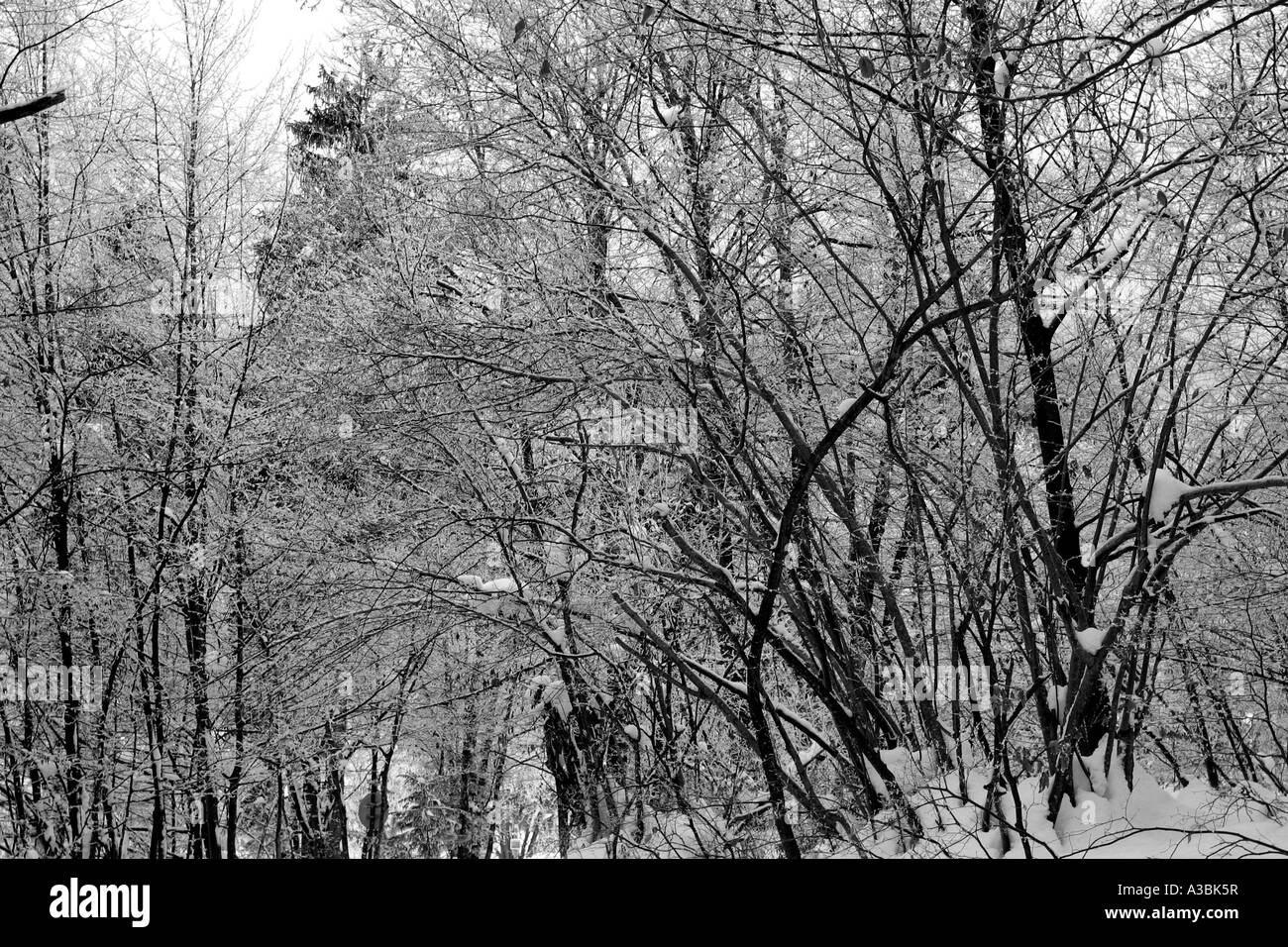 Seasons alps Black and White Stock Photos & Images - Alamy