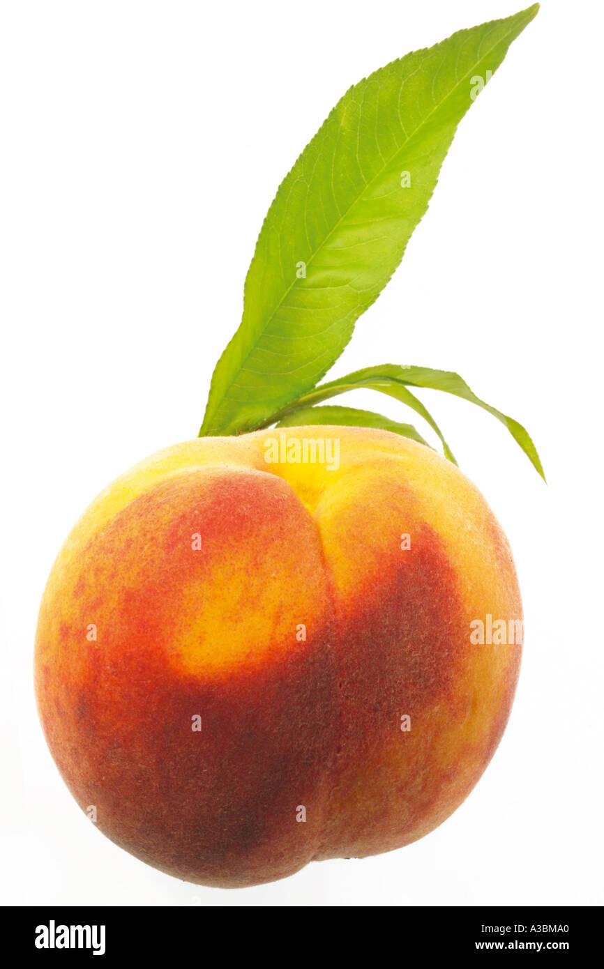 Peach feature hi-res stock photography and images - Alamy