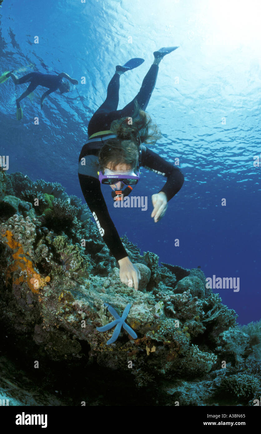 Aqualungs hi-res stock photography and images - Alamy