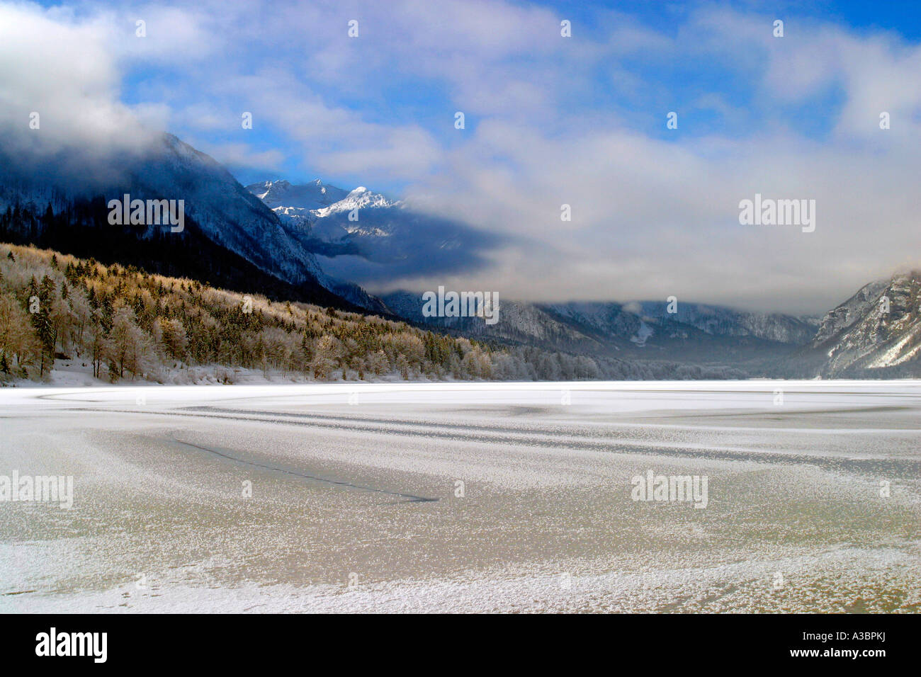 Sub alpine climate hi-res stock photography and images - Alamy