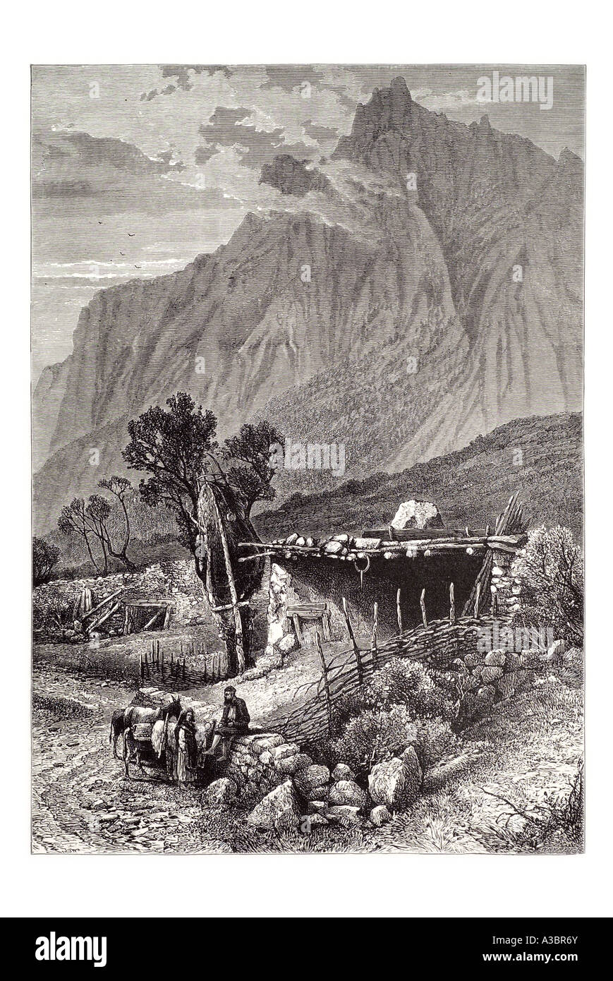 Russia Russian Soviet Union USSR peasant farm farmer donkey coral fence ...