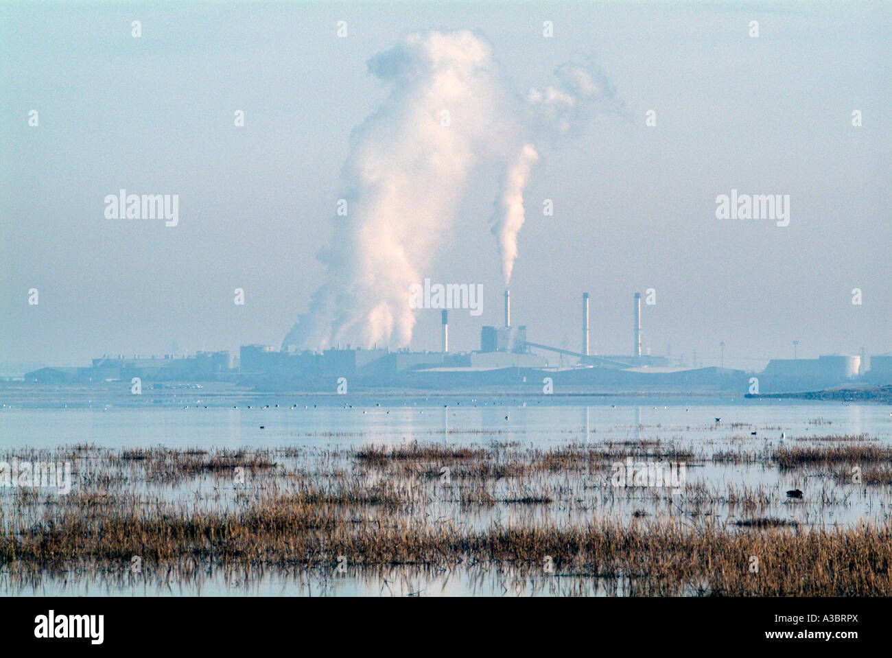 Queensferry paper mill steam pollution waste heat global warming cloud ...