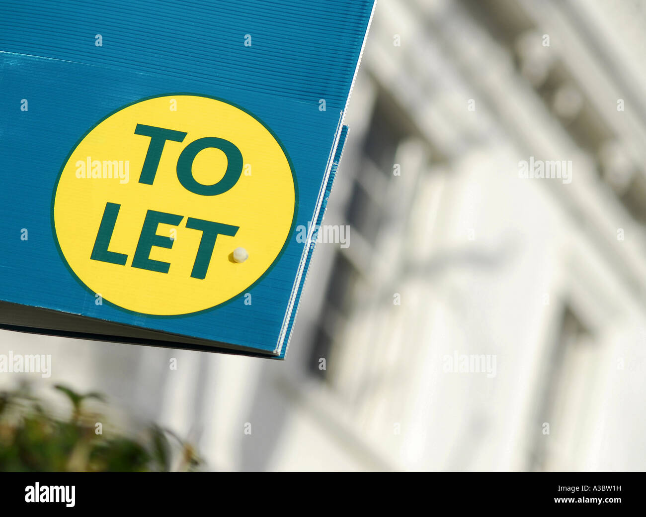 estate agent to let board outside residential property Stock Photo - Alamy