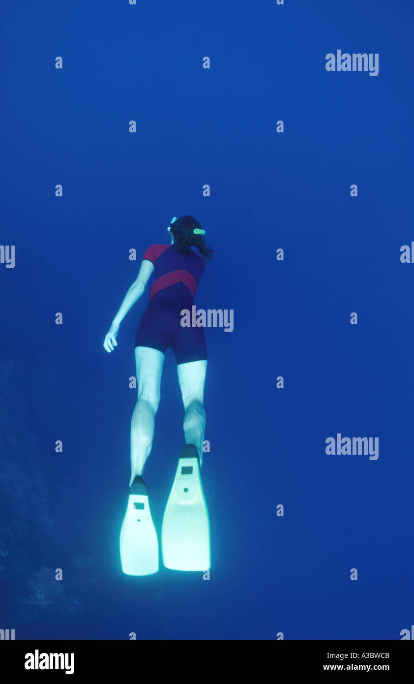Female diver, rear view Stock Photo - Alamy