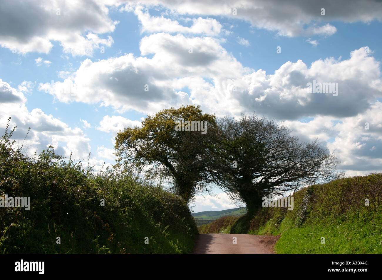 Exe valley devon exe valley devon hi-res stock photography and images ...