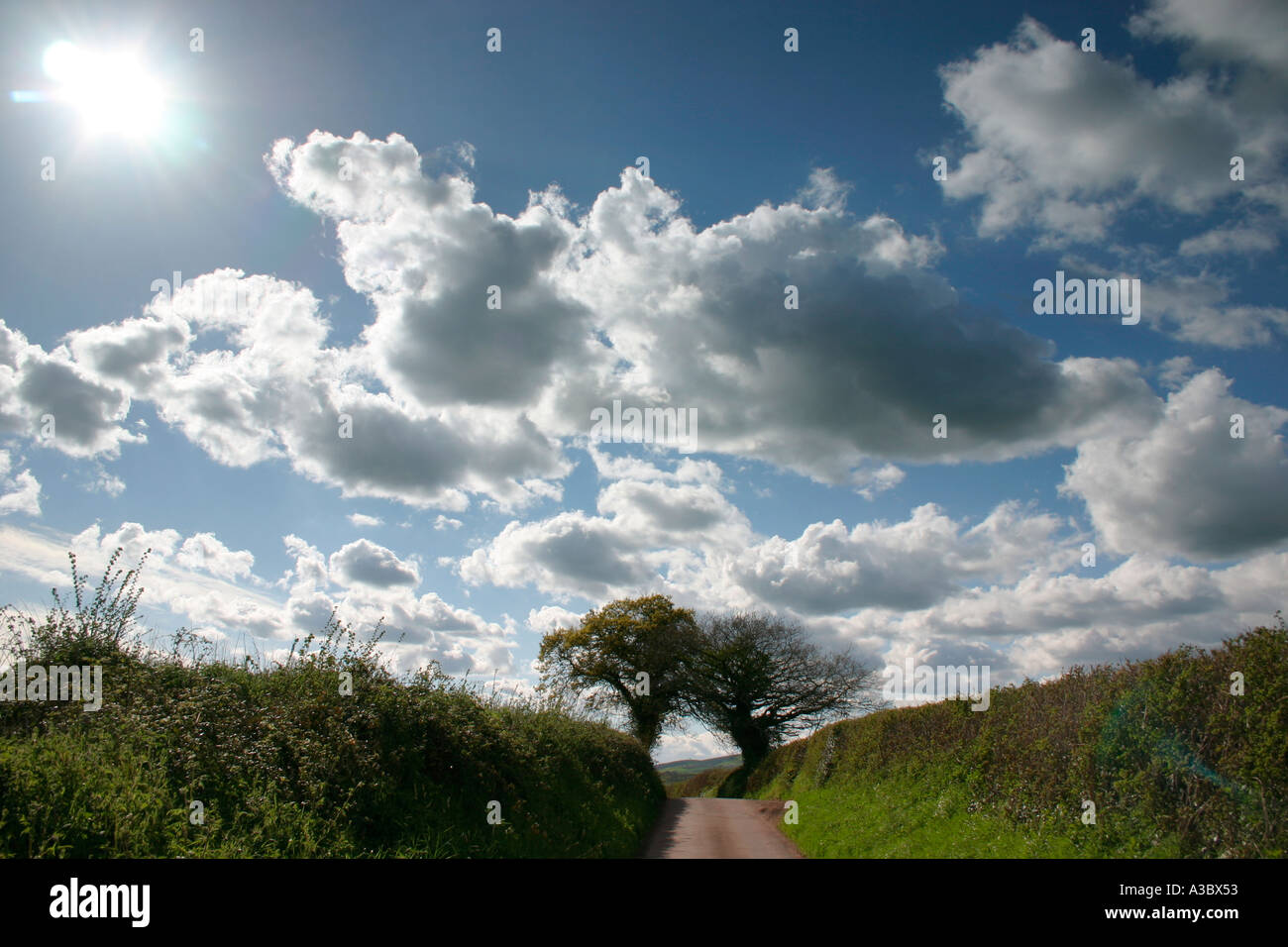Exe valley devon spring hi-res stock photography and images - Alamy