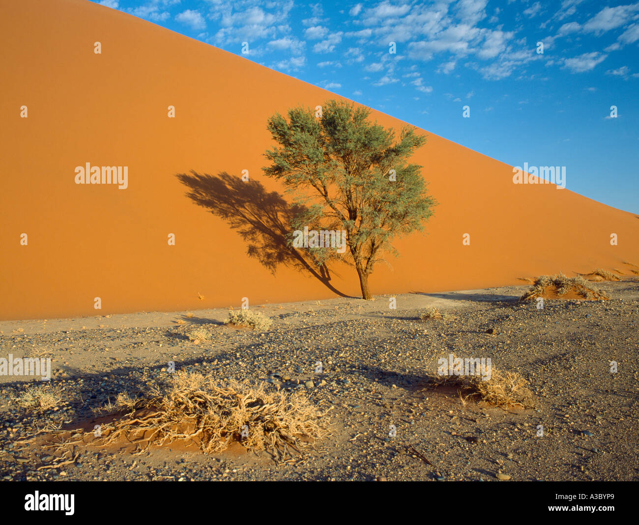 Nambi hi-res stock photography and images - Alamy