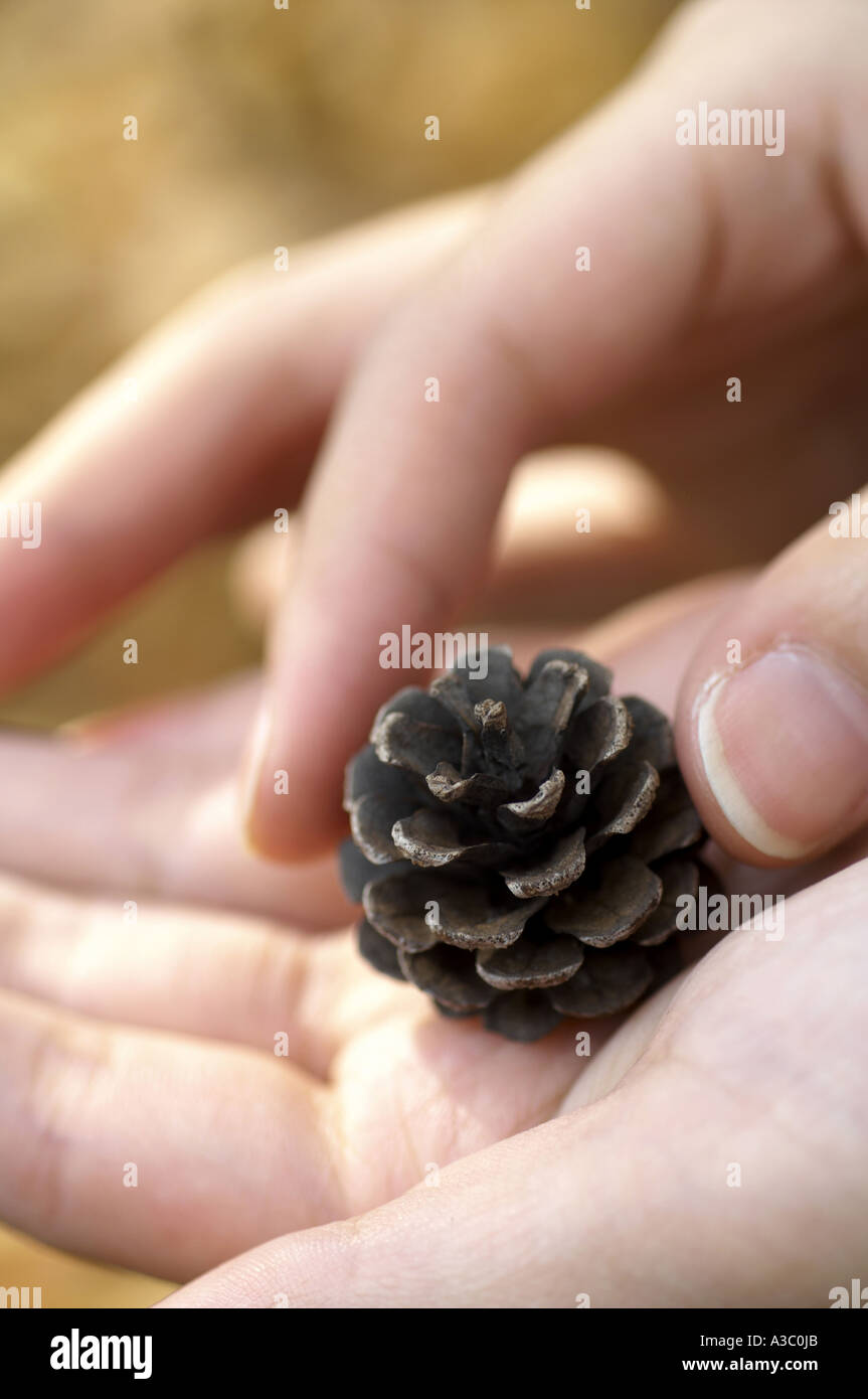 Body cone hi-res stock photography and images - Alamy