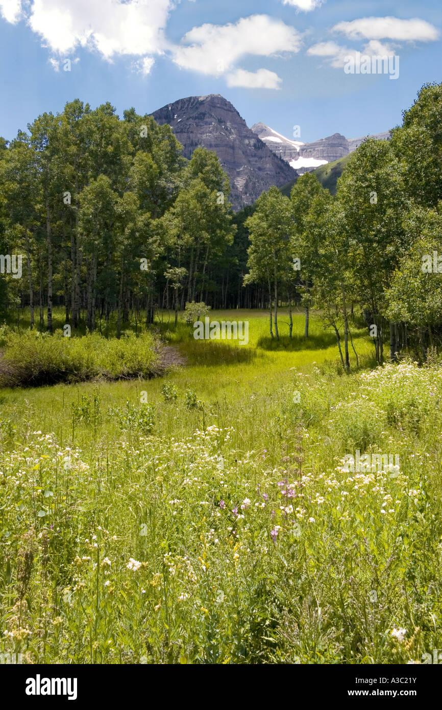 Mt timpanogos and utah lake hi-res stock photography and images - Alamy