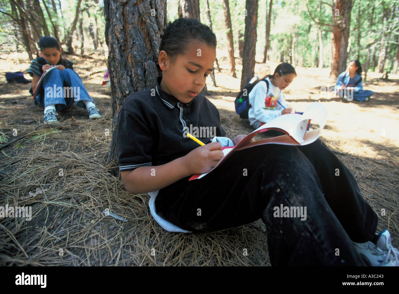 Fifth grade students sitting underneath trees in an outdoor educational ...