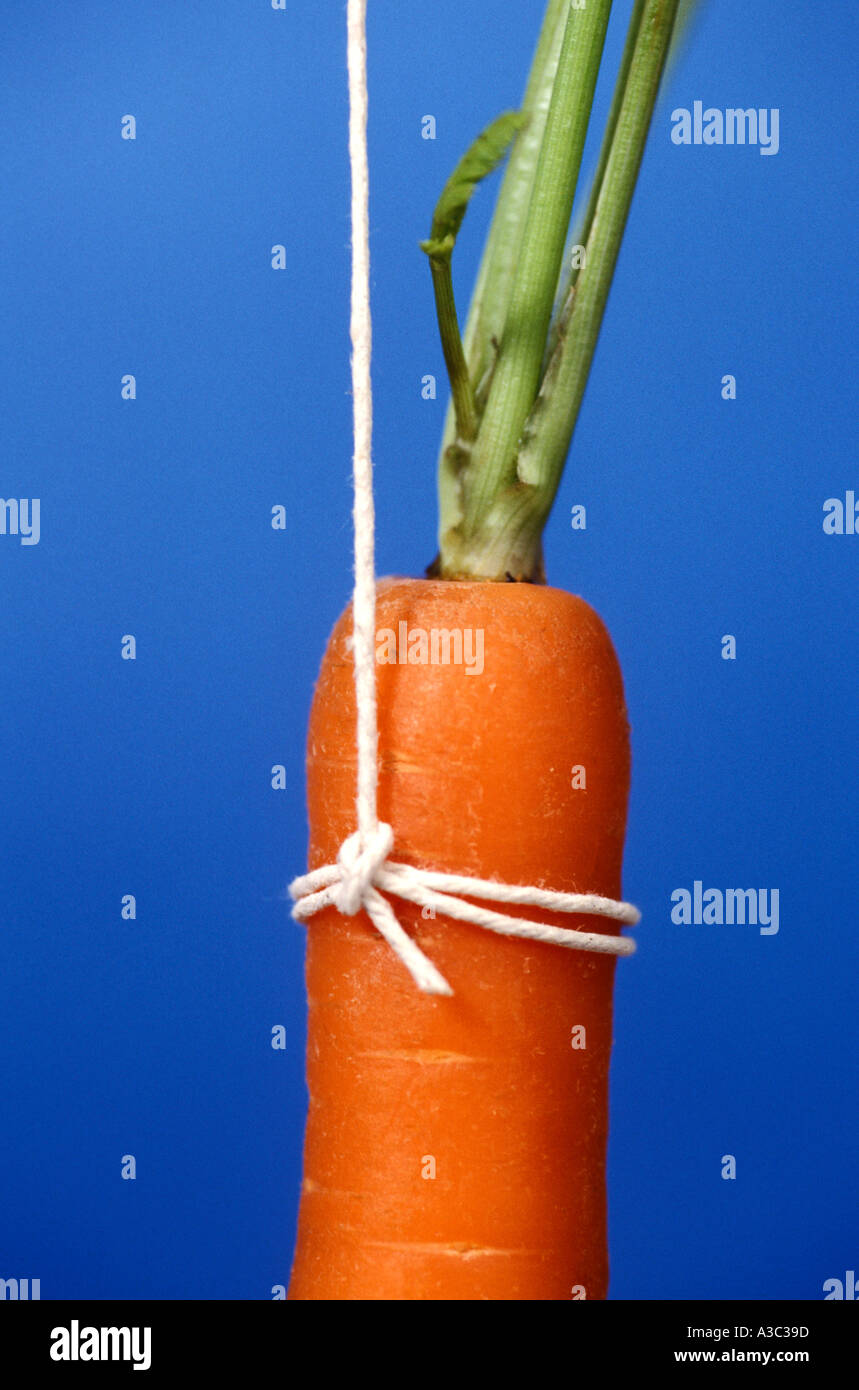 Stimulus control hi-res stock photography and images - Alamy