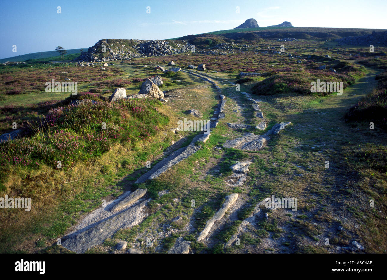 Haytor Granite Tramway Dartmoor Devon England Stock Photo - Alamy