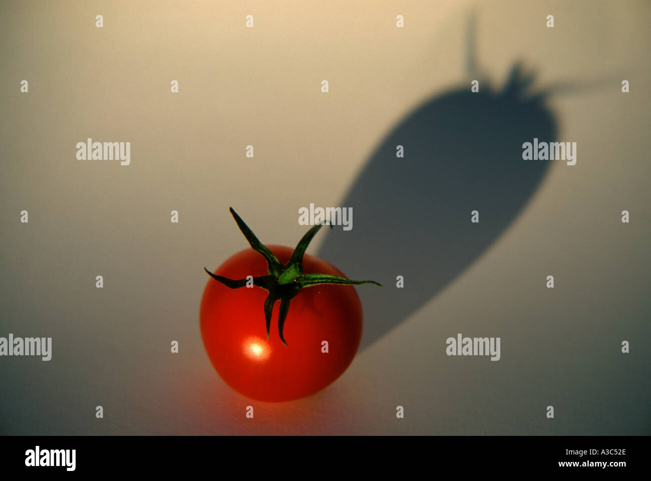 Tomato with shadow Stock Photo - Alamy