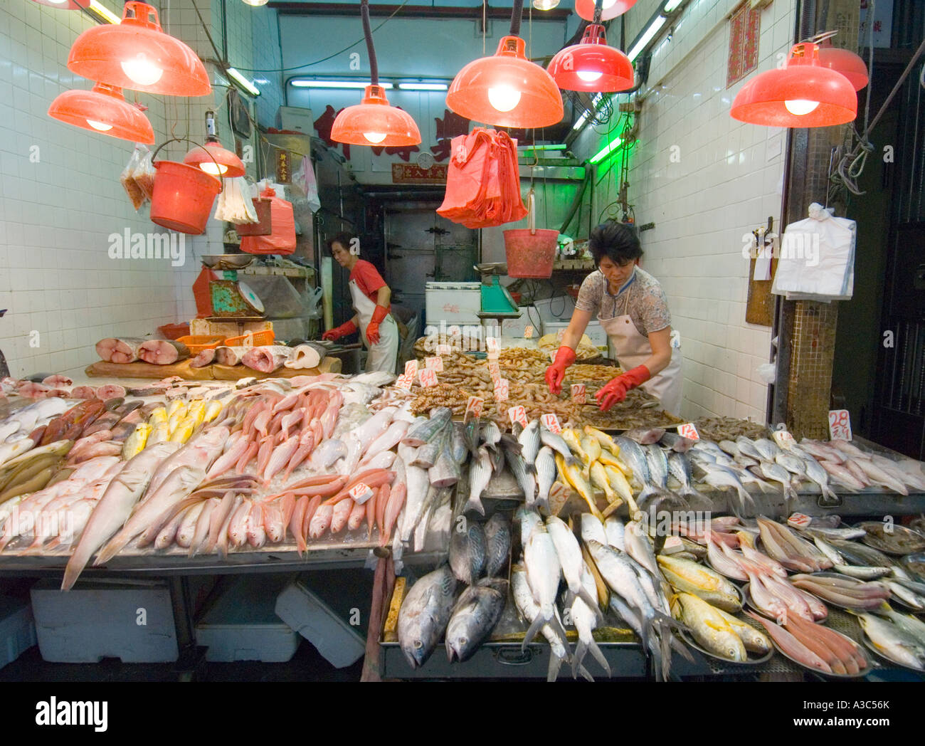 Fishmonger shop in Hong Kong Stock Photo, Royalty Free Image: 10739418 ...