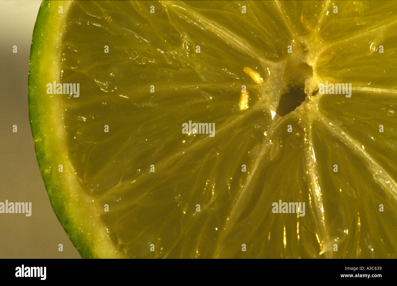 Close up of cut Lime showing peel and radial pattern of segments Stock ...