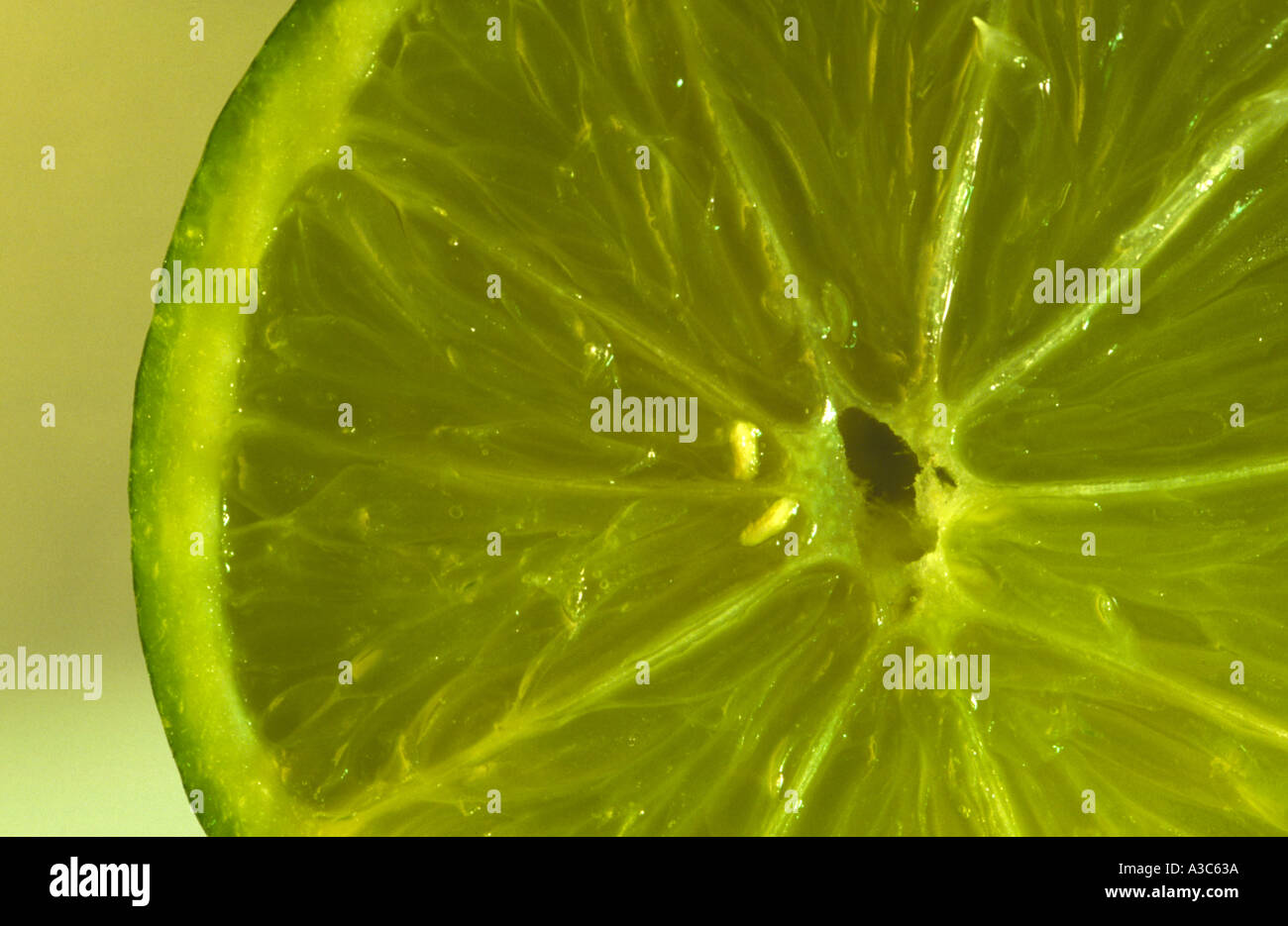 Close up of cut Lime showing peel and radial pattern of segments Stock ...
