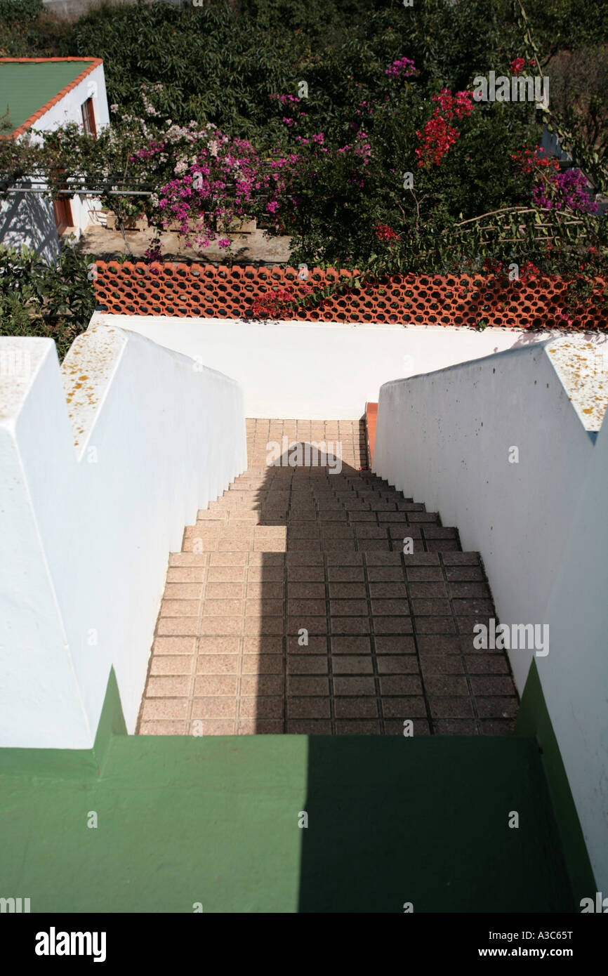 steps leading down to the garden from the roof terrace of a typical ...
