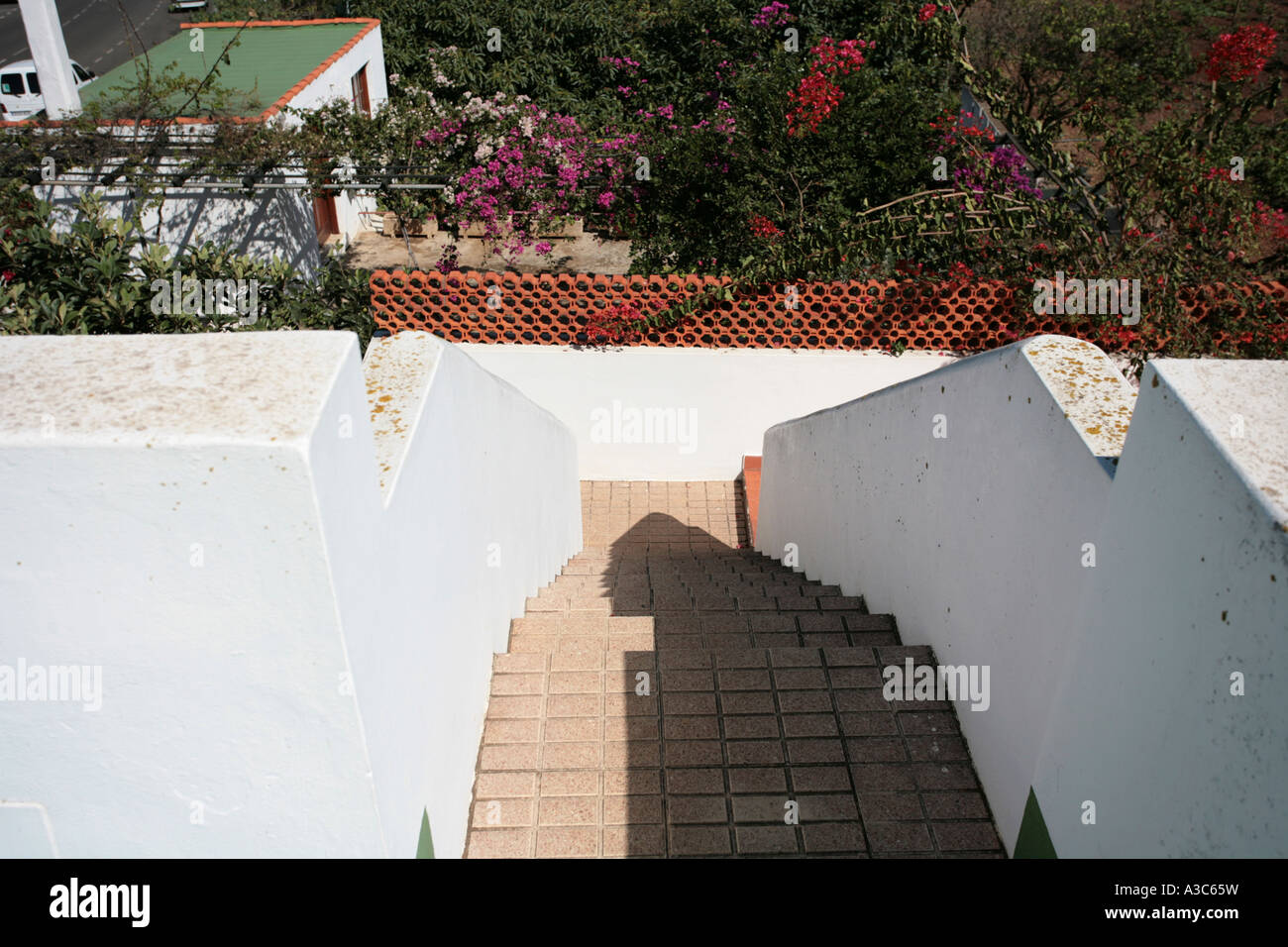 steps leading down to the garden from the roof terrace of a typical ...