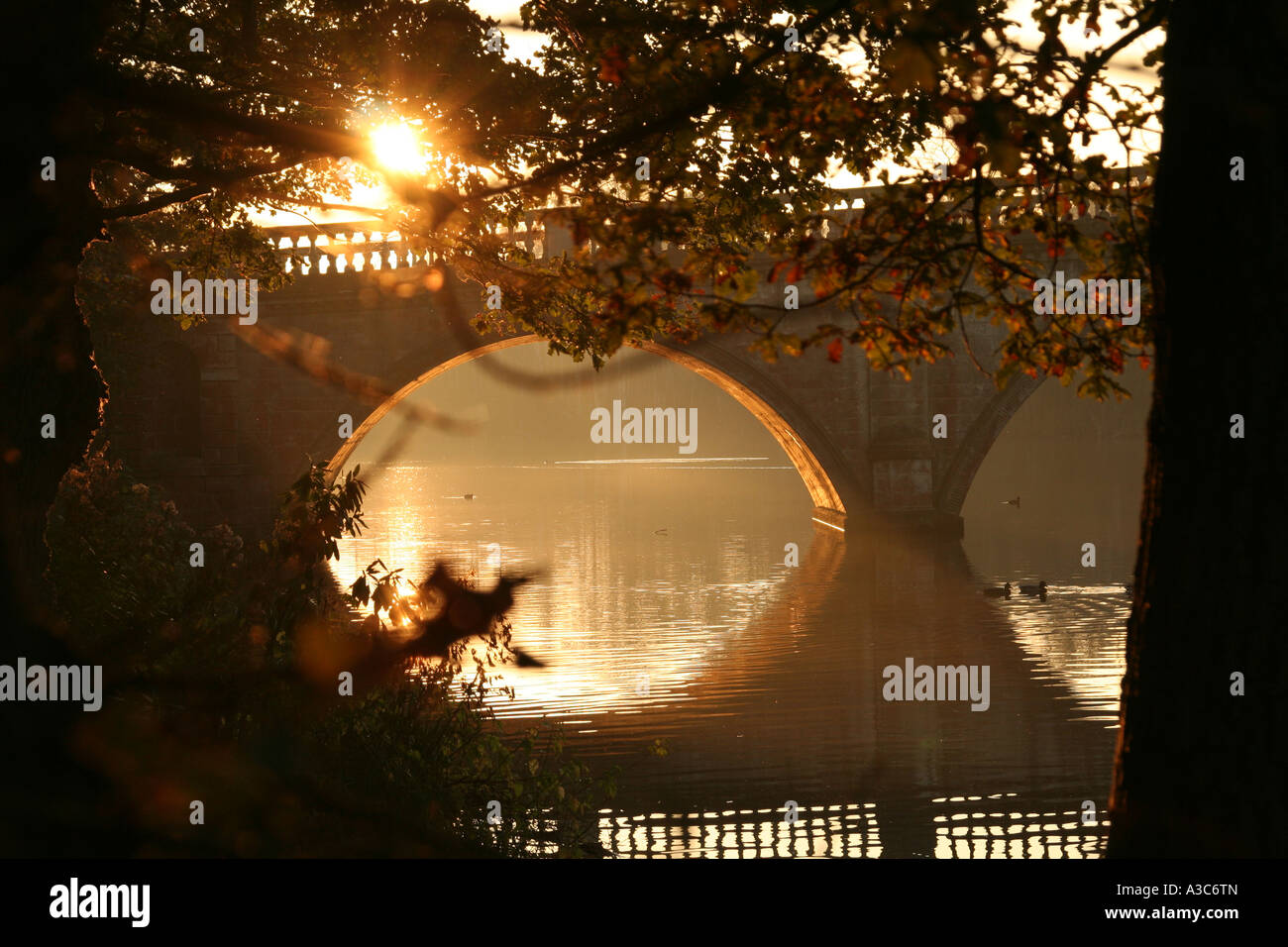 Water reflection dappled light hi-res stock photography and images - Alamy