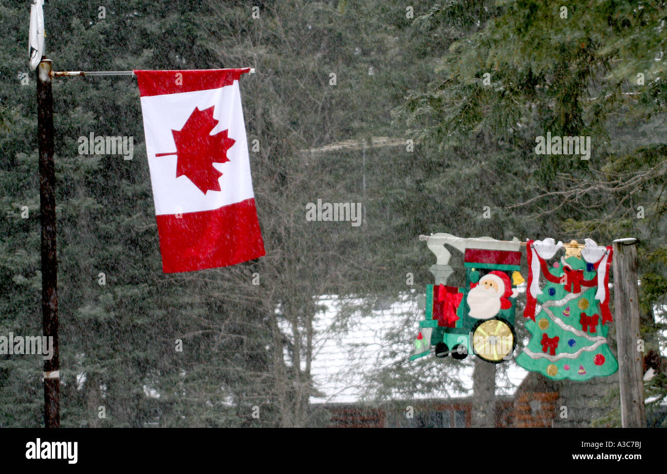 Canadian flag hanging over Christmas decorations Stock Photo - Alamy