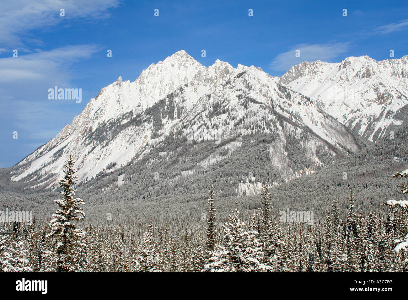 Winter scene of Banff National Park , Alberta, Canada Stock Photo - Alamy