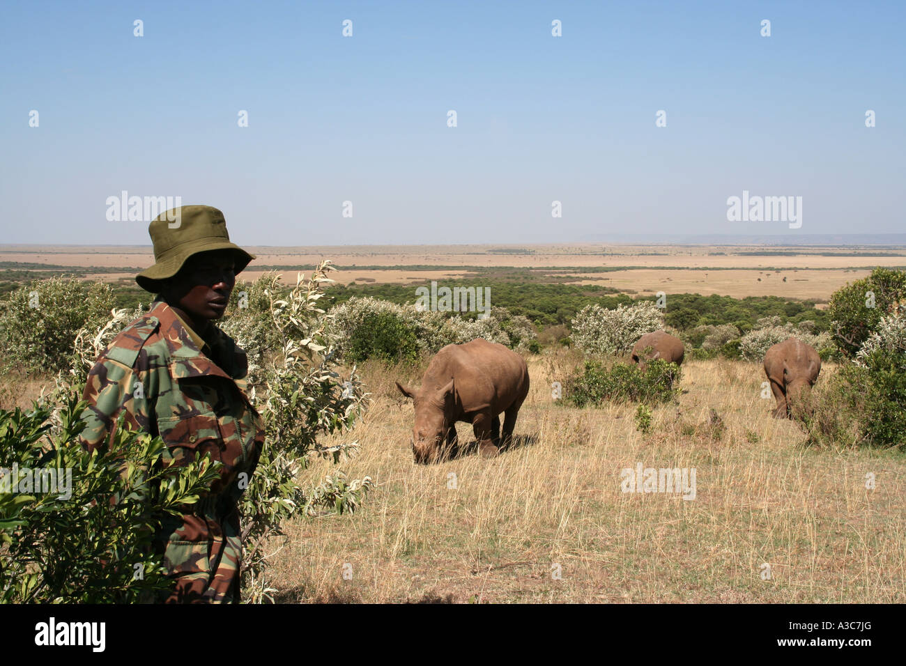 White Rhino and armed guard, Kenya, East Africa Stock Photo - Alamy