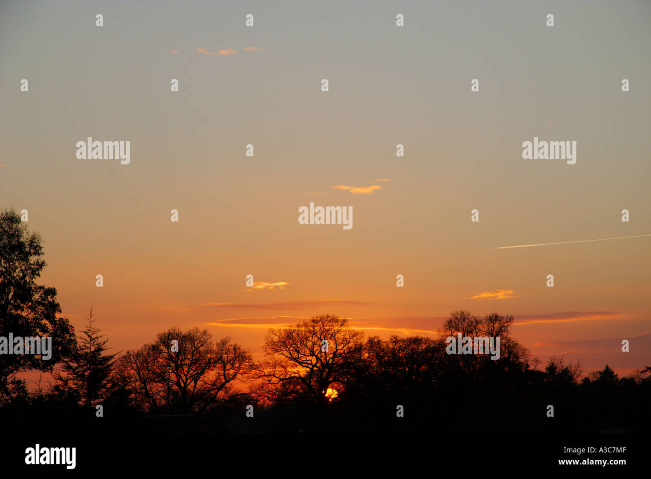 Sunset sky with trees Stock Photo - Alamy