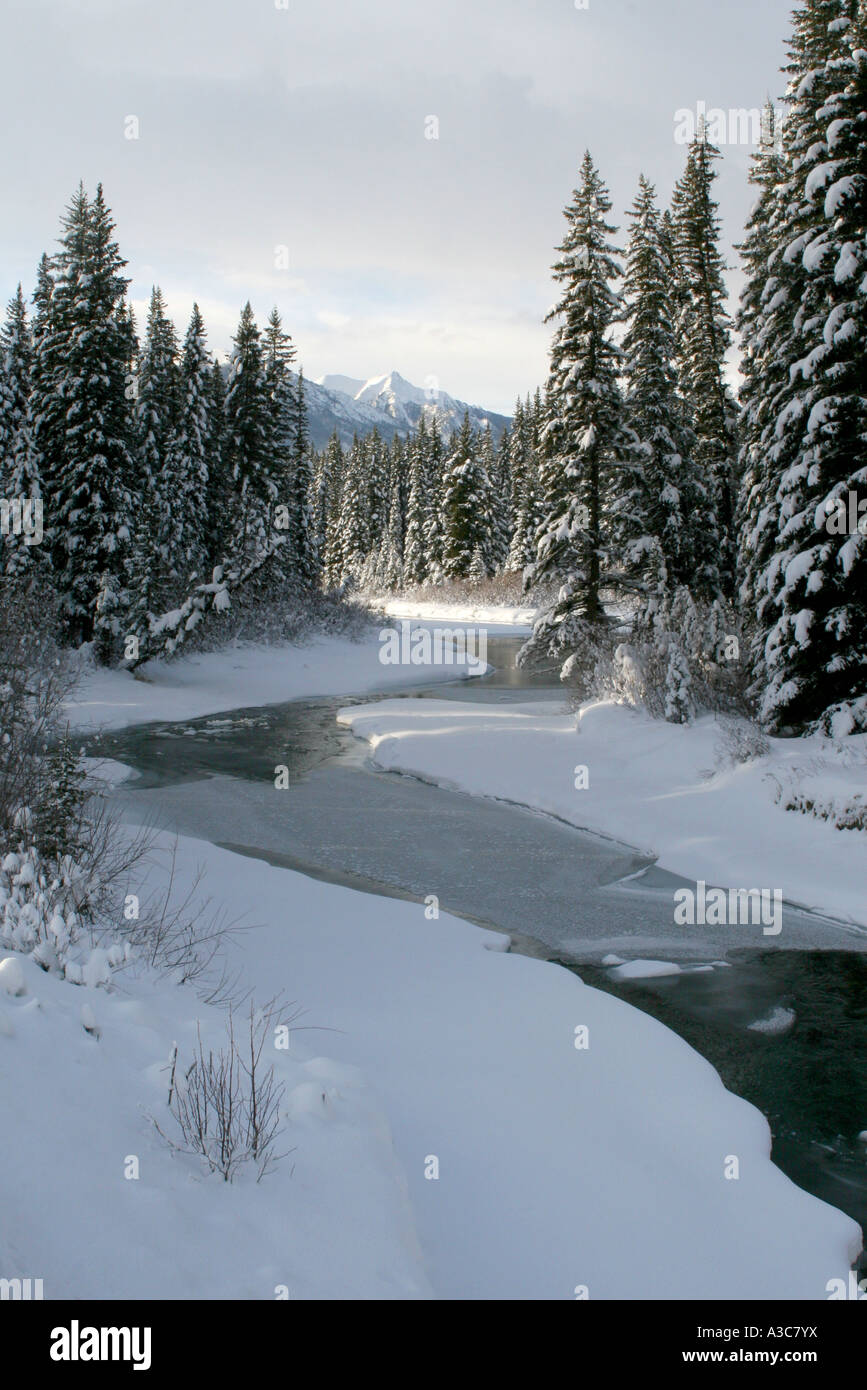 Elk River in the Canadian Rocky Mountains, British Columbia, Canada ...