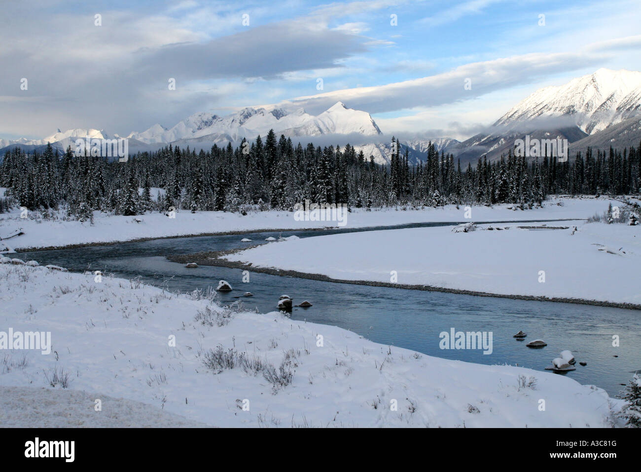 Elk River in the Canadian Rocky Mountains, British Columbia, Canada ...