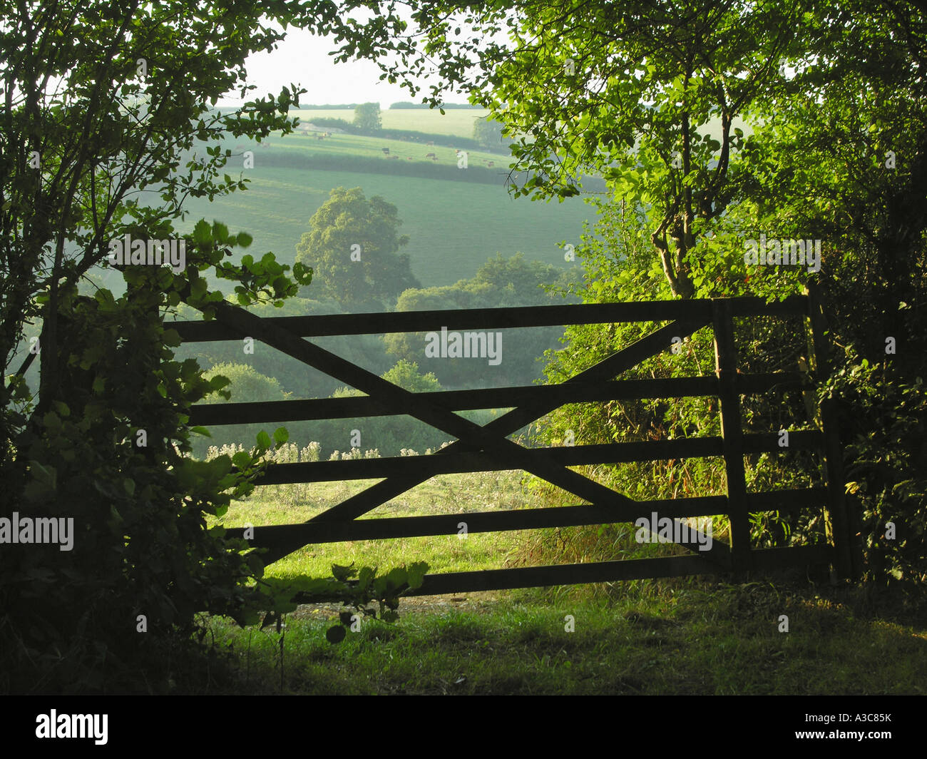 Gate in Cornwall Stock Photo - Alamy