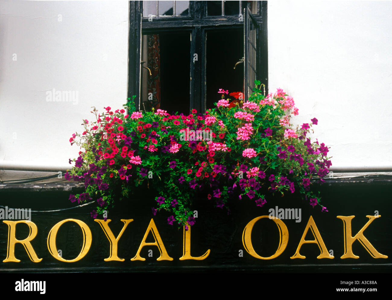 Royal Oak Pub York UK Stock Photo - Alamy