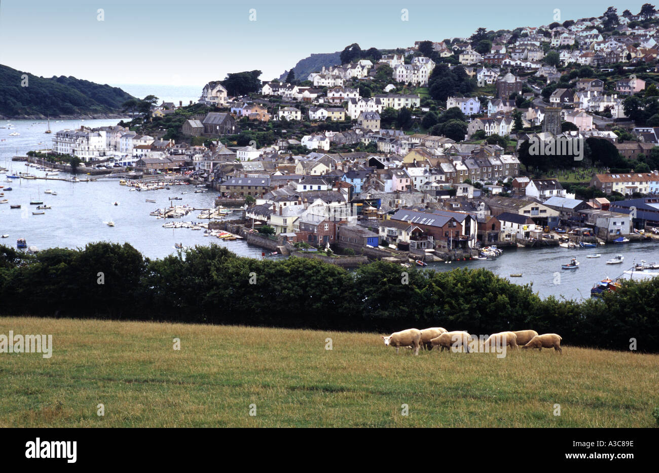 Boats in salcombe estuary hi-res stock photography and images - Alamy