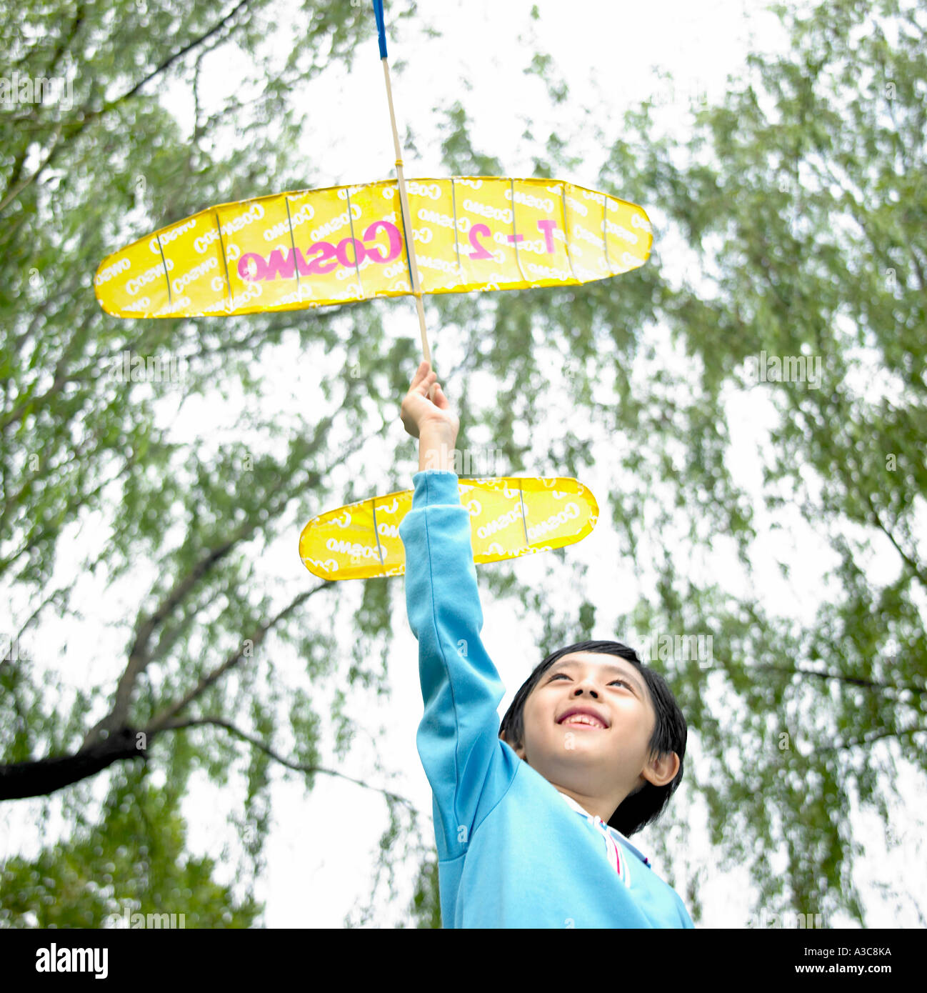 A boy is about to fly off a toy aircraft Stock Photo - Alamy