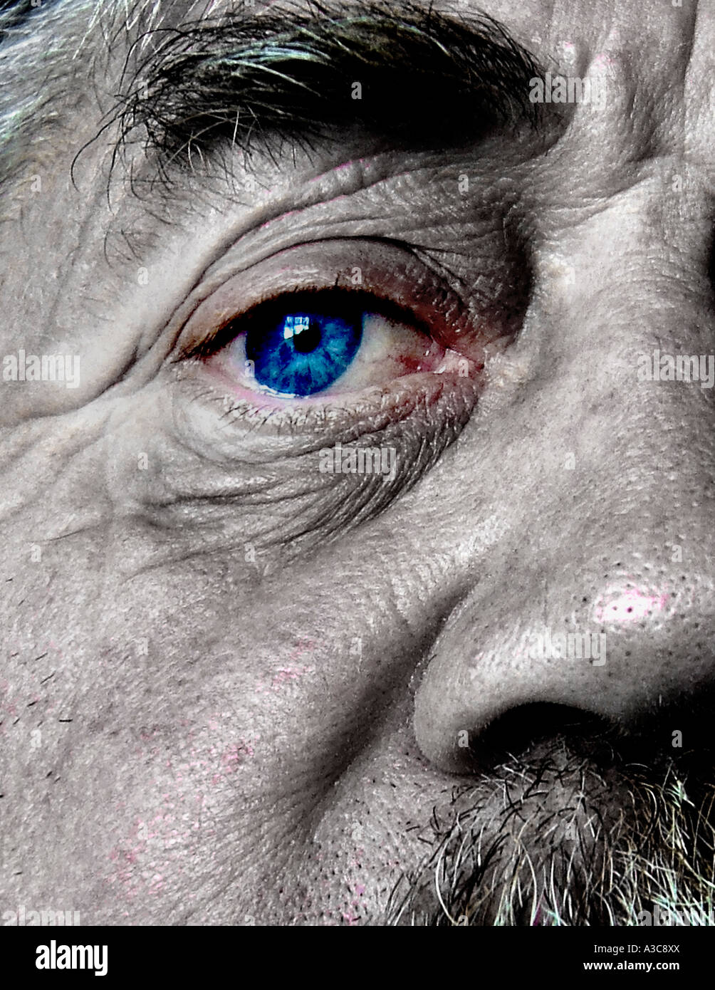 Unkempt eyebrows hi-res stock photography and images - Alamy