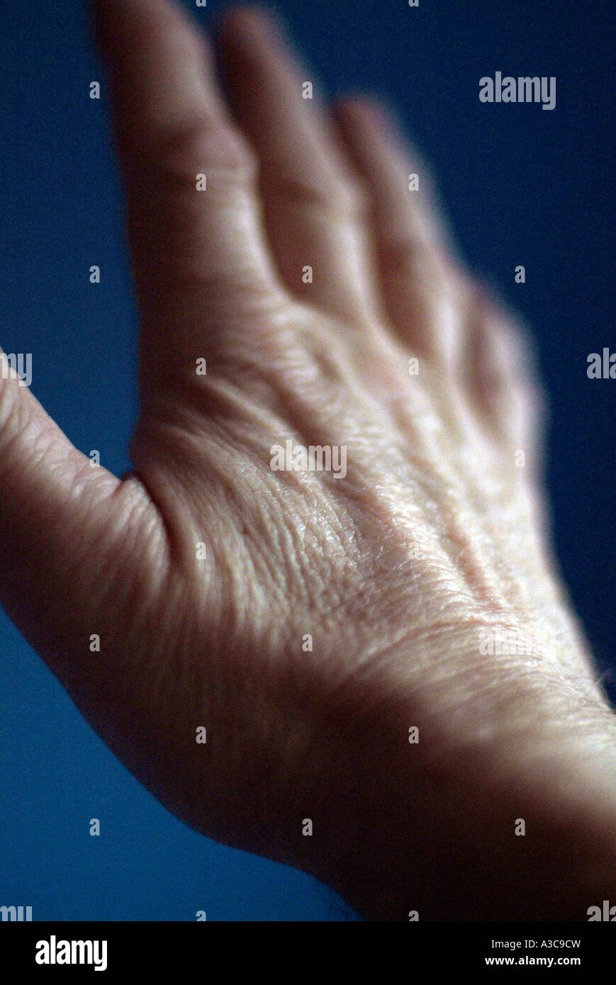 hand held up Stock Photo - Alamy