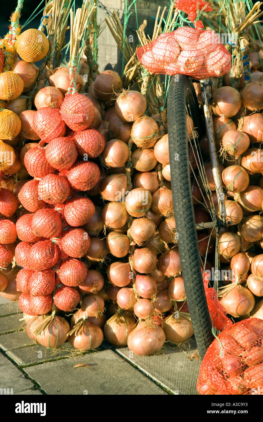 French onion sellers bike and onions bicycle Stock Photo - Alamy
