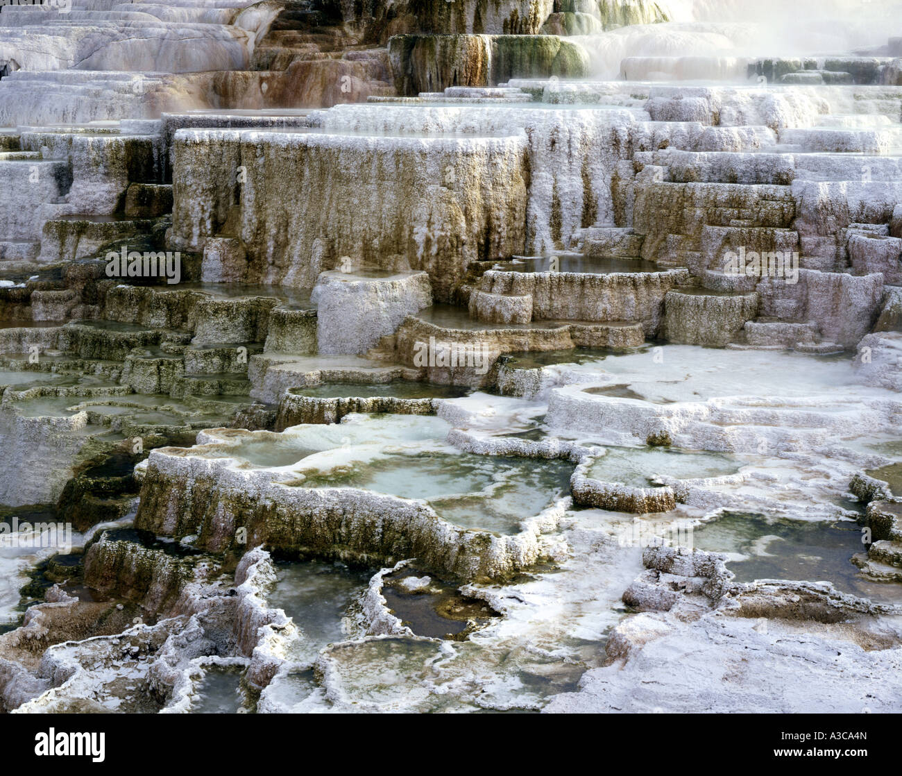 Minerva Terrace, Mammoth Hot Springs, Yellowstone National Park ...
