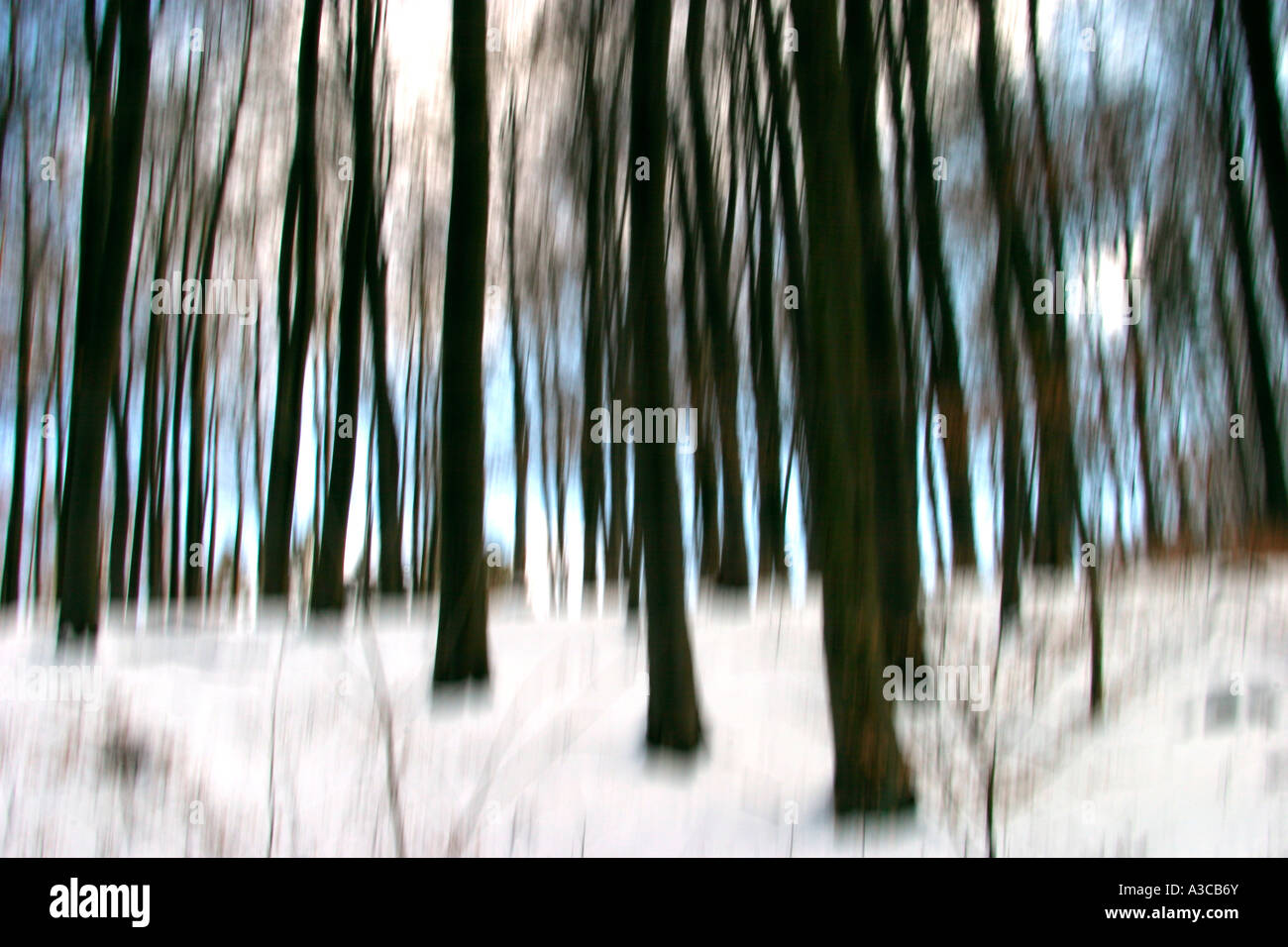 Forest in motion Stock Photo - Alamy