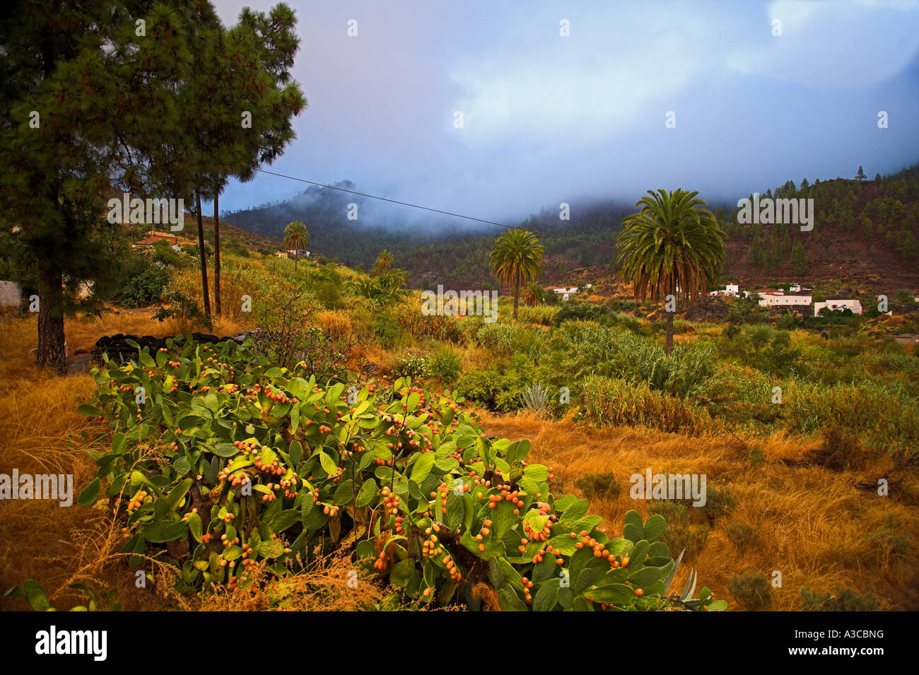 Regen in den Bergen Raining in the Mountains Stock Photo - Alamy