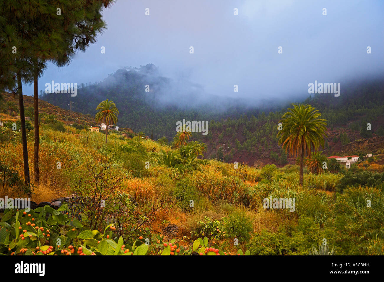 Regen in den Bergen Raining in the Mountains Stock Photo - Alamy